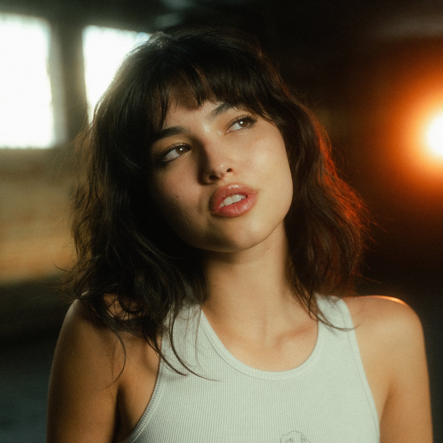 Dream FX Filters ™ – Prism Lens Fx